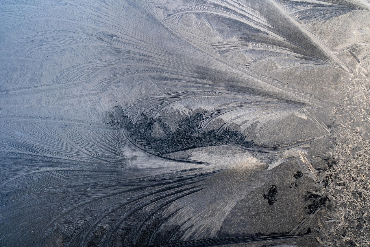 Winter Frost Frozen - Free photo on Pixabay - Pixabay