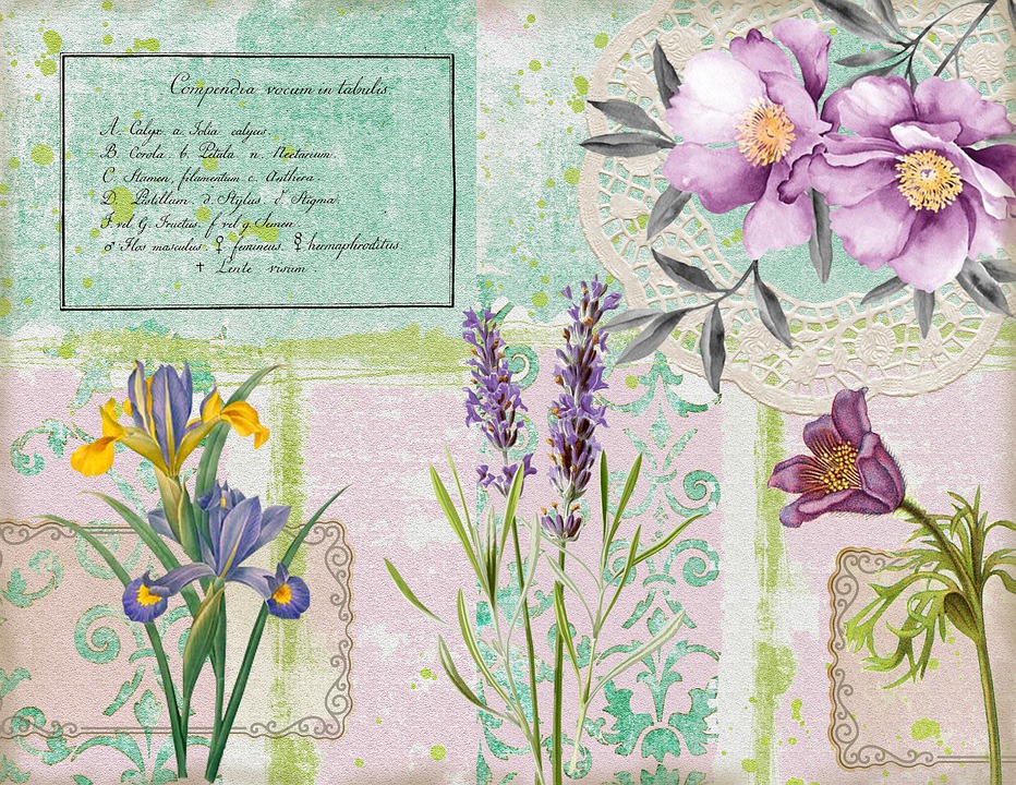 Download Floral, Scrapbook, Flower. Royalty-Free Stock Illustration ...