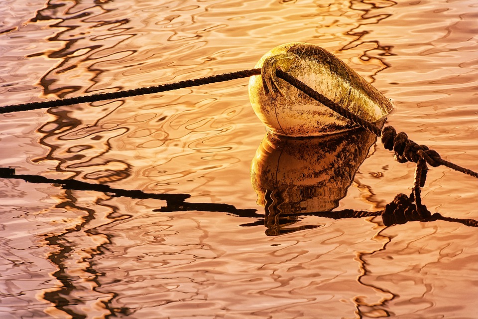 Rep Boj Vatten - Gratis foto på Pixabay - Pixabay