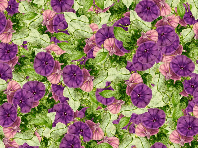 Bloemen Achtergrond Tuin - Gratis afbeelding op Pixabay - Pixabay