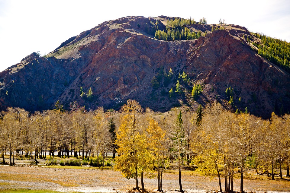 Trees Mountains Rock - Free photo on Pixabay