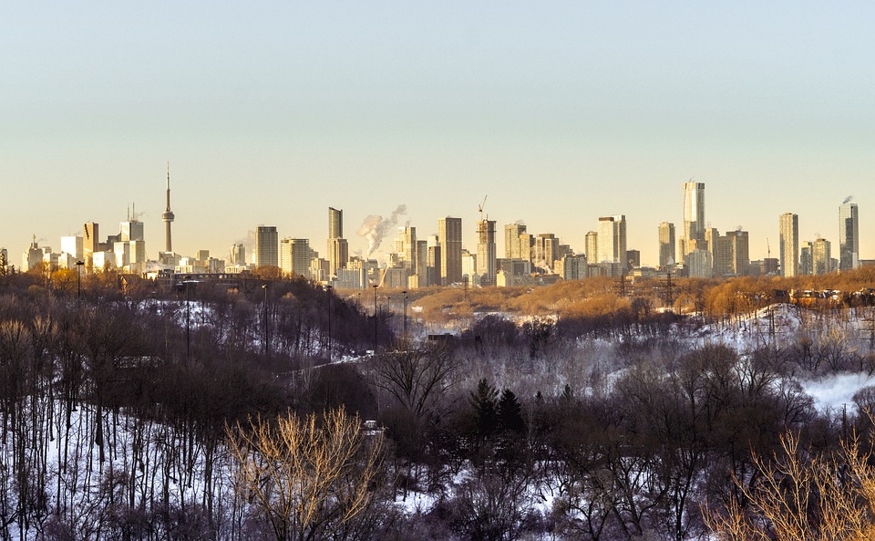 Skyline Trees Winter - Free photo on Pixabay - Pixabay