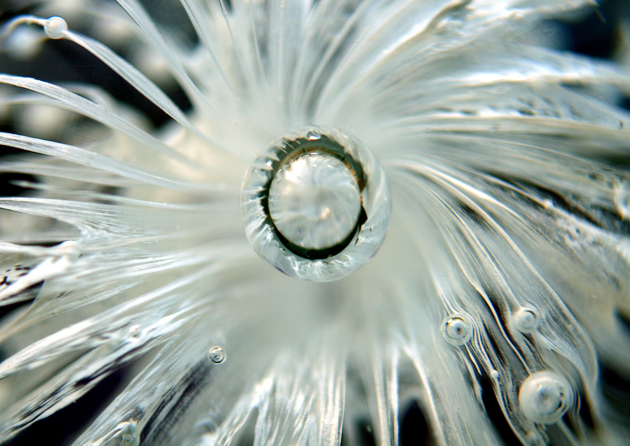 3,000+ Free Pearls & Pearl Necklace Images - Pixabay