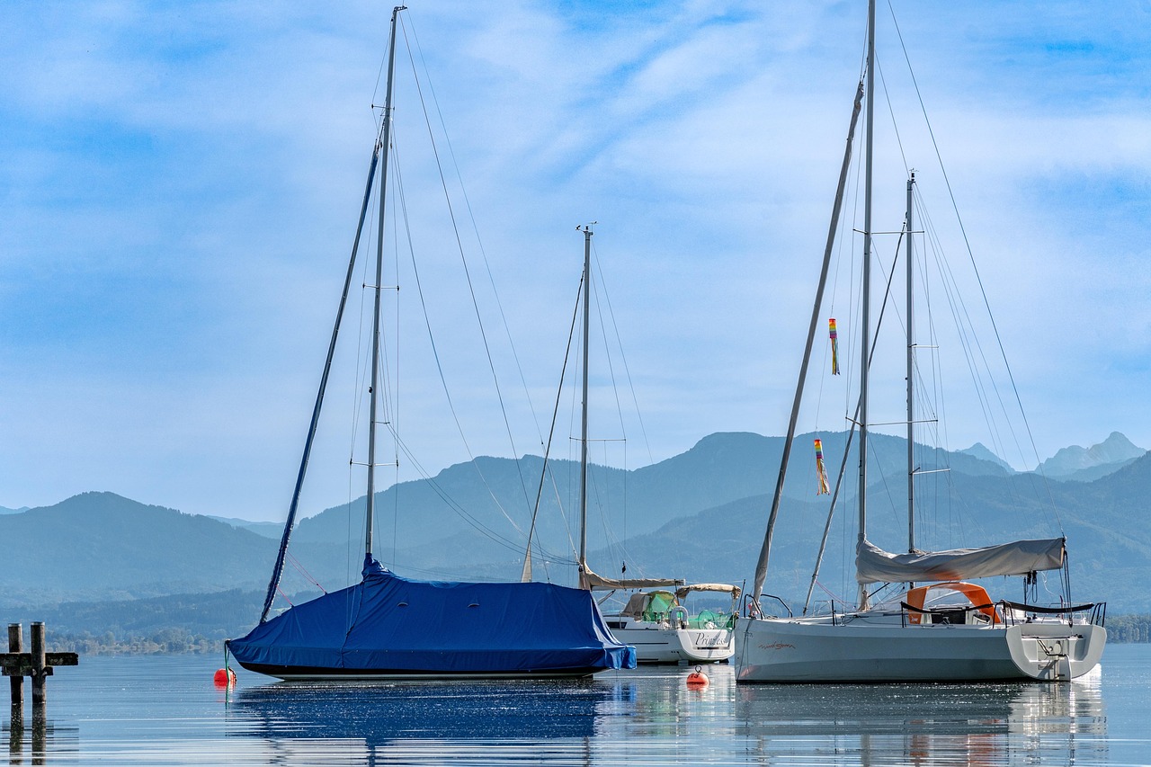 1,000+ Free Anchor & Nature Images - Pixabay