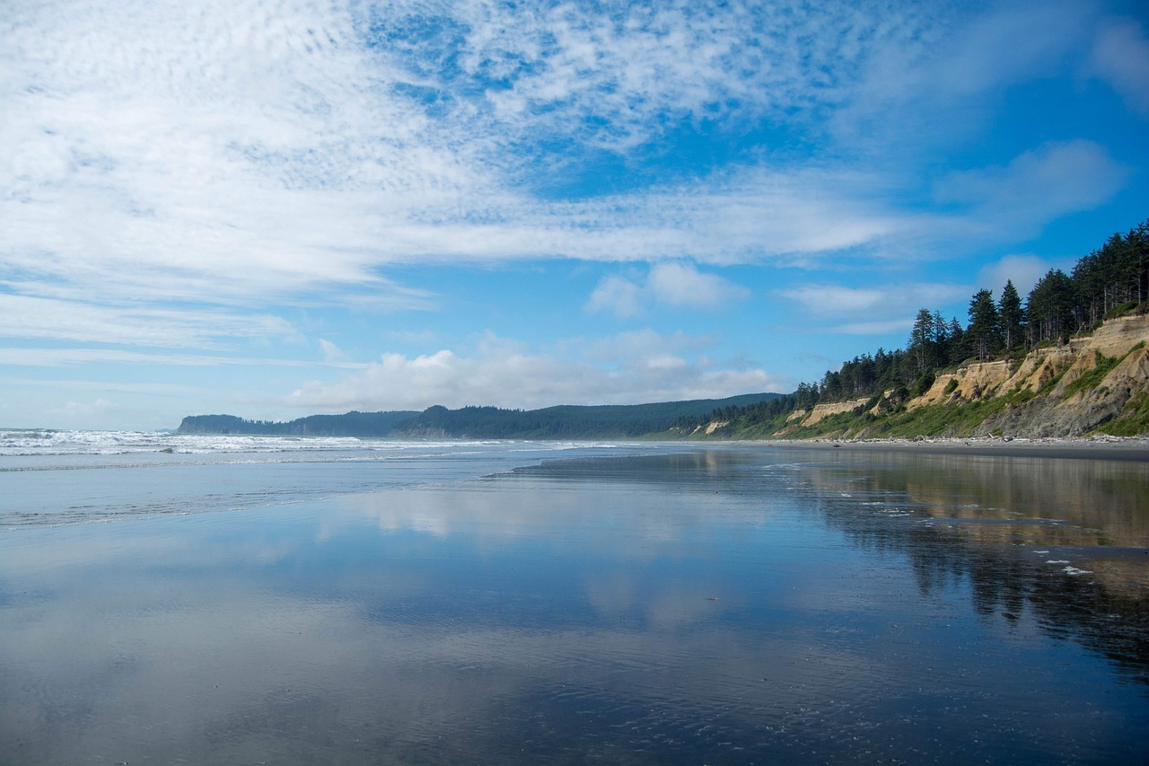 Sea Coast Nature - Free photo on Pixabay - Pixabay