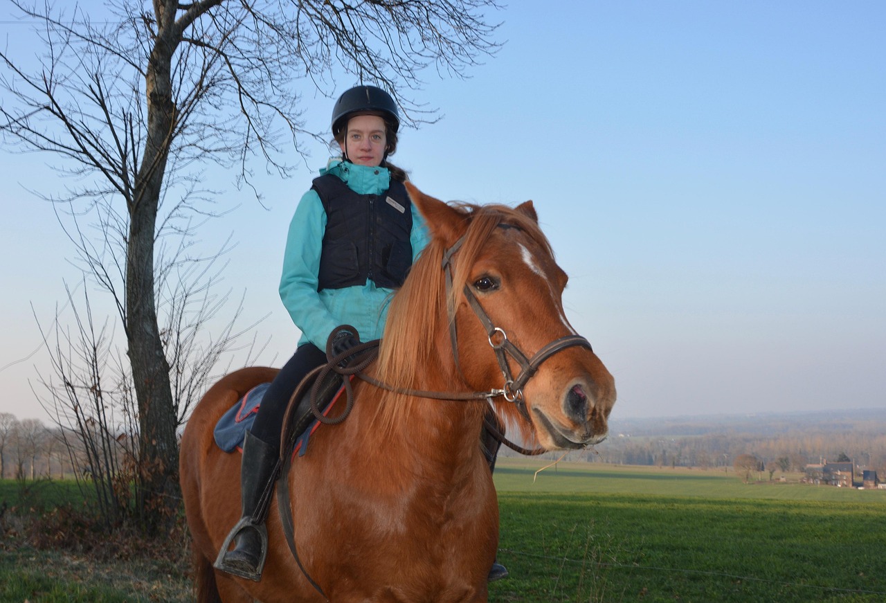 Horseback Riding Woman Horse - Free photo on Pixabay - Pixabay