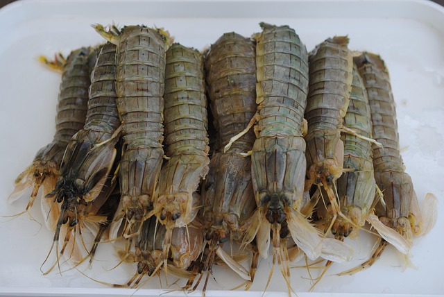 Seafood Shrimp Raw - Free photo on Pixabay - Pixabay