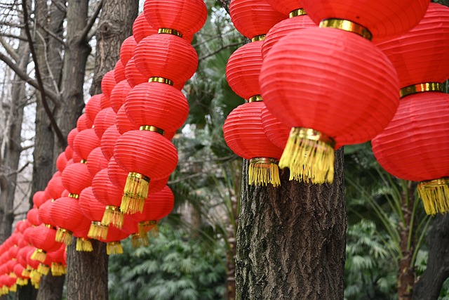 New Year Spring Festival Lantern - Free photo on Pixabay