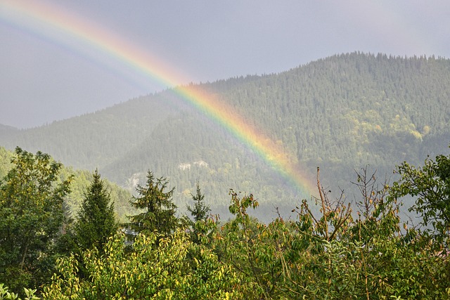 200,000+ Free Rainbow Landscape & Rainbow Photos - Pixabay