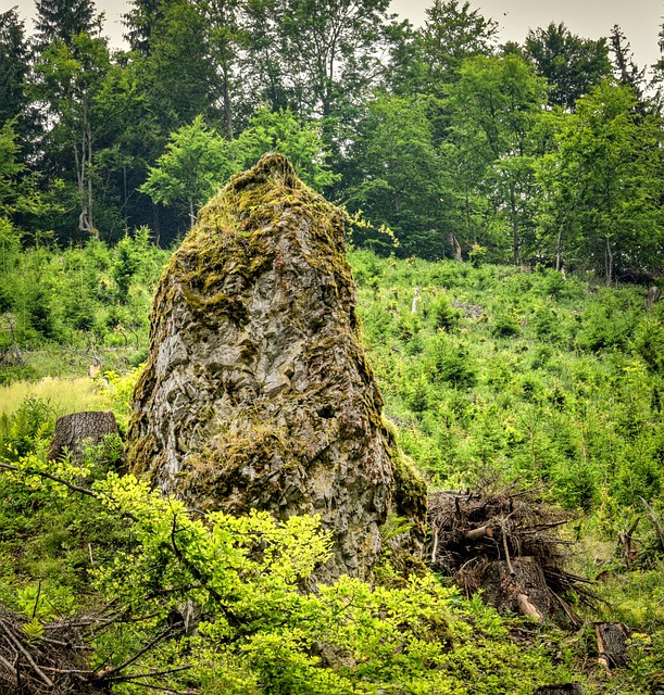 Nature En Plein Air Voyager - Photo gratuite sur Pixabay - Pixabay