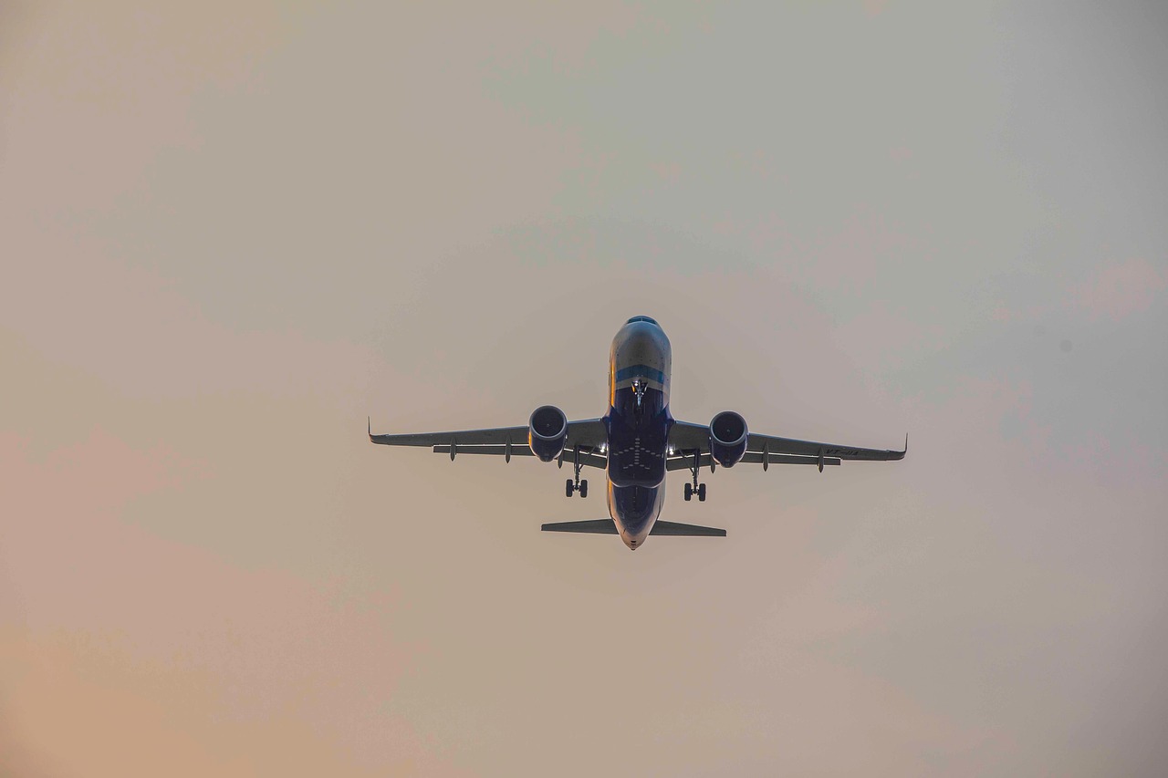 Airplane Flight Travel - Free photo on Pixabay - Pixabay