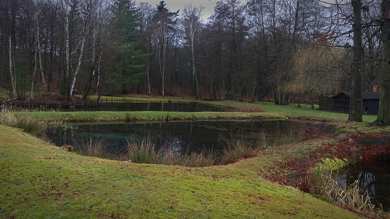 Étang Parc Nature Des - Photo gratuite sur Pixabay - Pixabay