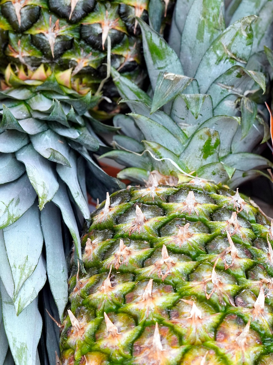 Plus de 20 000 images de Fruits D'Ananas et de Ananas - Pixabay