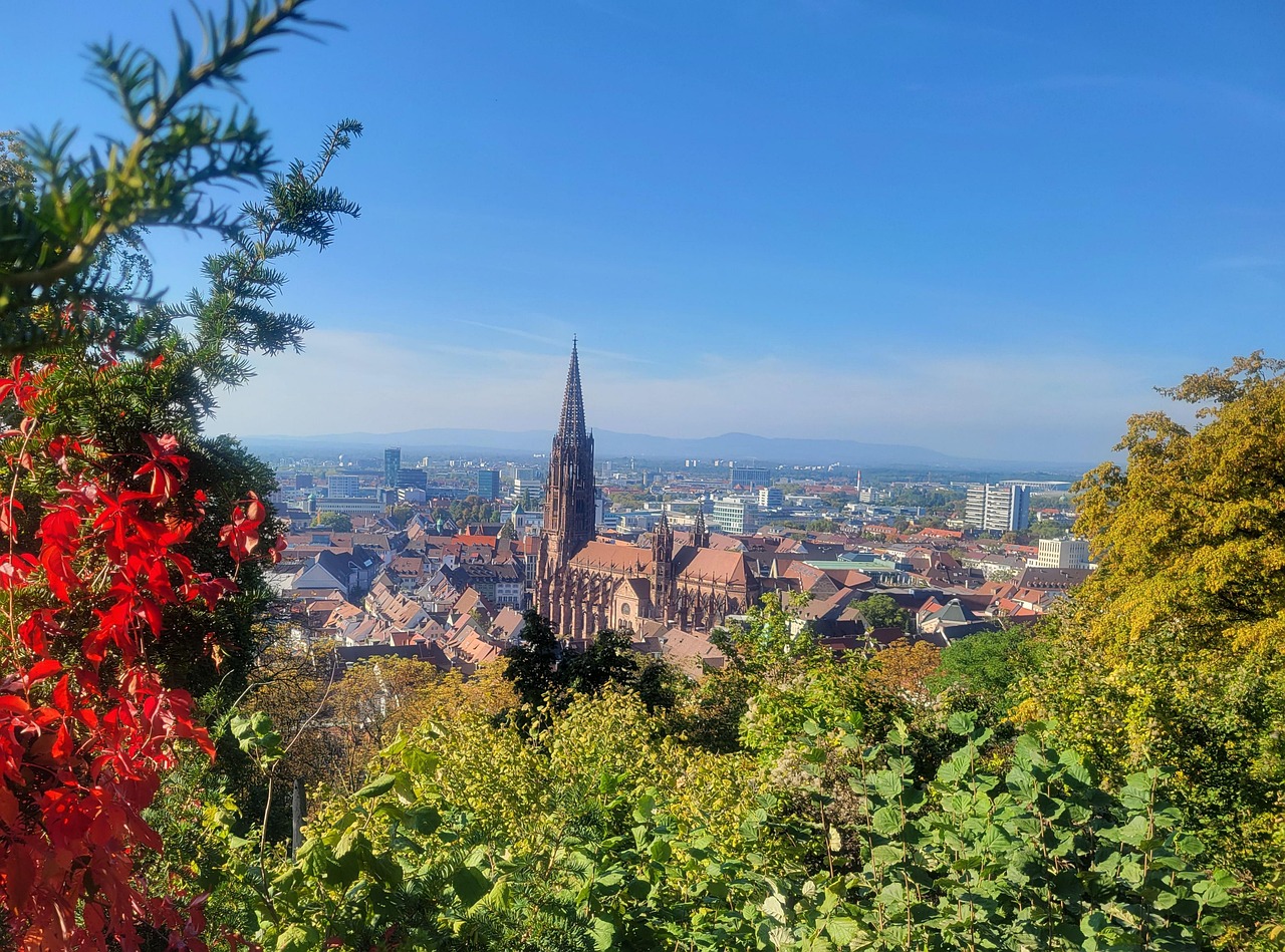 1+ Free Schlossbergturm & Black Forest Images - Pixabay