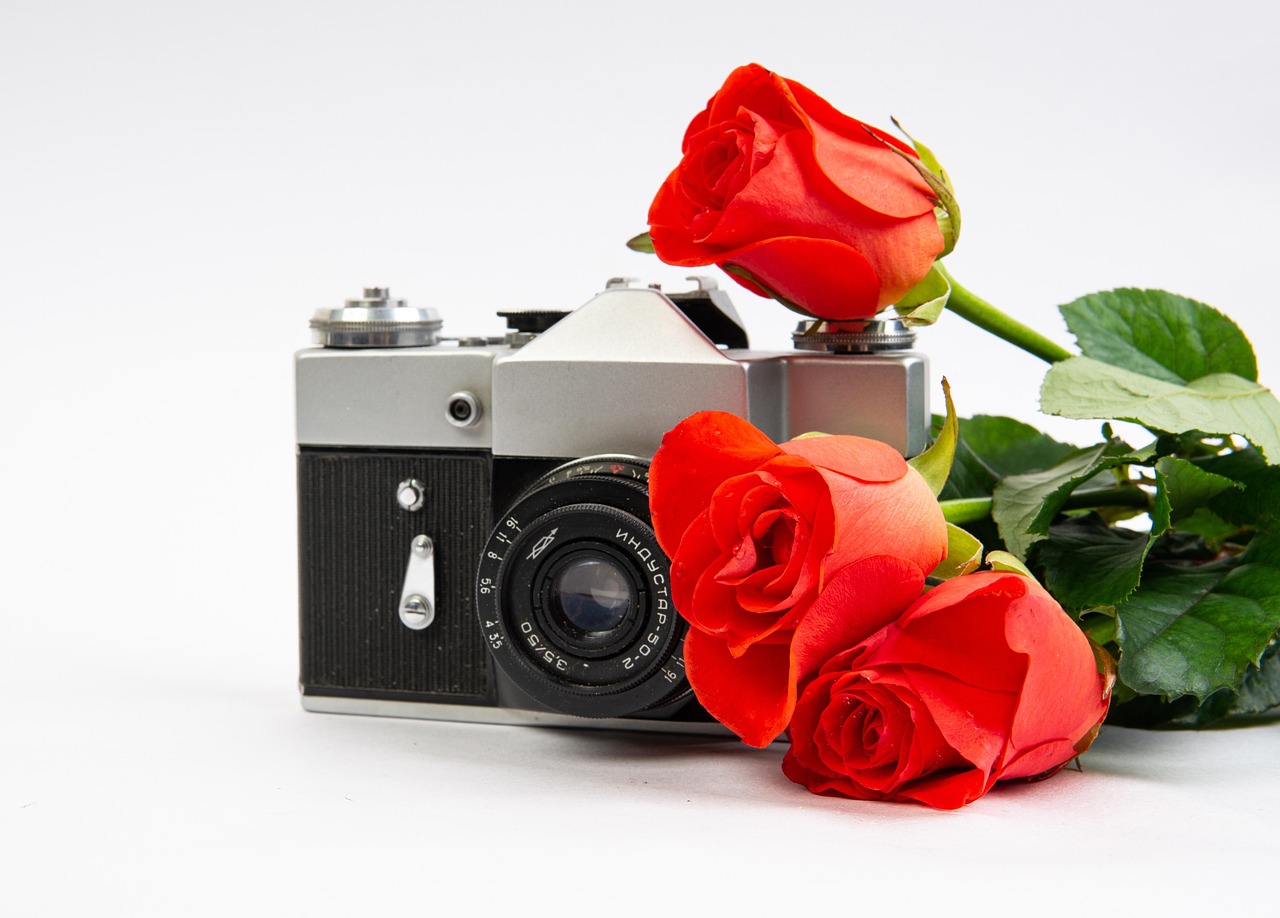Roses Camera Bouquet - Free photo on Pixabay