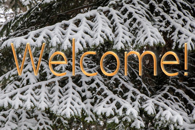 Welcome Winter Snow - Free photo on Pixabay - Pixabay