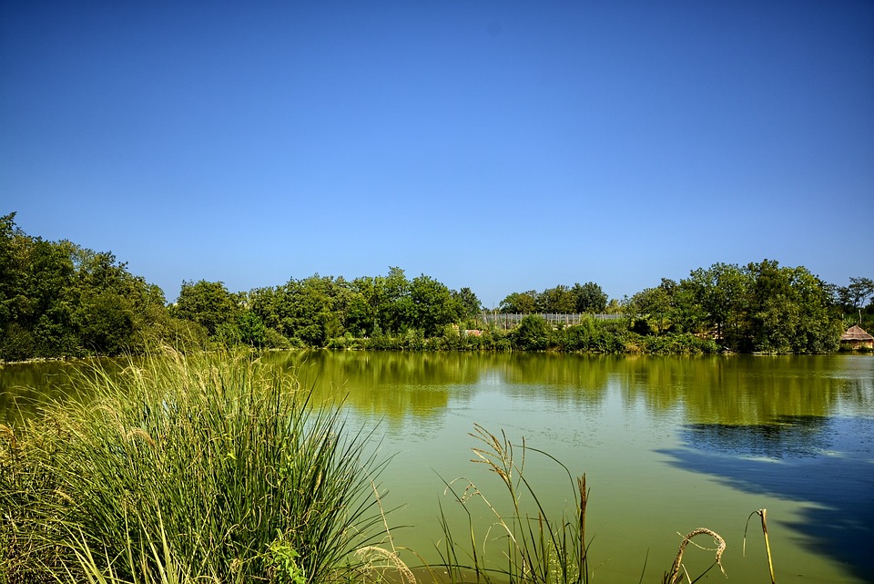 Lac Étang Parc Aux Oiseaux Villars - Photo gratuite sur Pixabay
