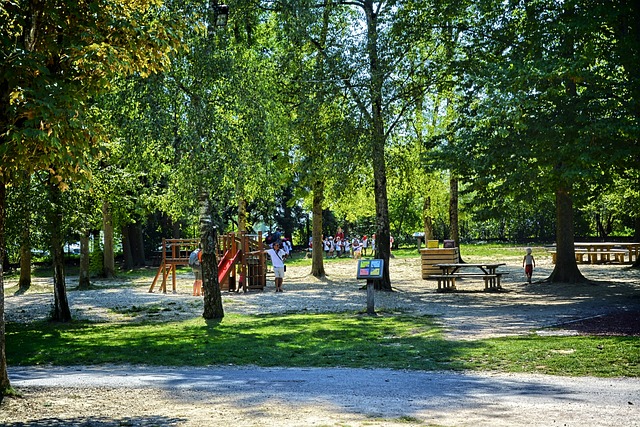 Playground Park Trees - Free photo on Pixabay