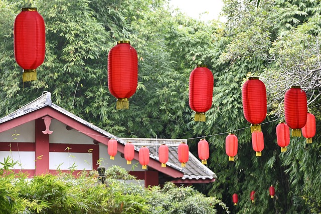10,000+ Free Festival & Nature Images - Pixabay