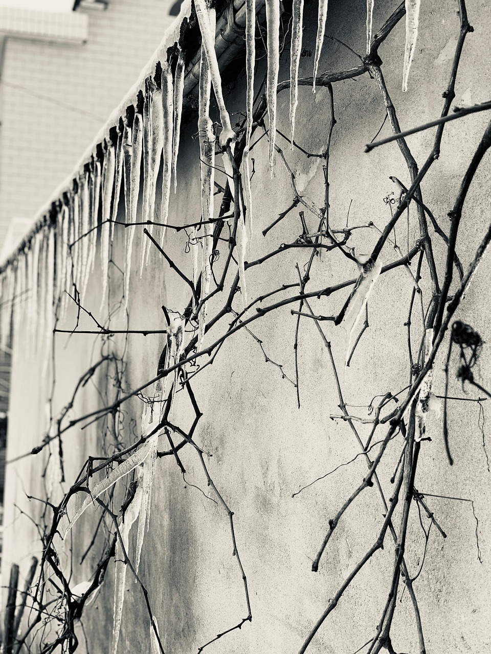 Memories Snow Scene - Free photo on Pixabay - Pixabay