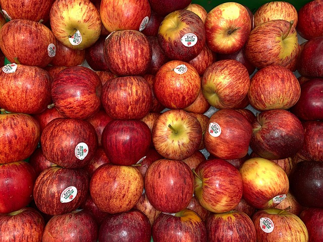 Äpfel Apfelfrucht Roter Apfel - Kostenloses Foto auf Pixabay - Pixabay