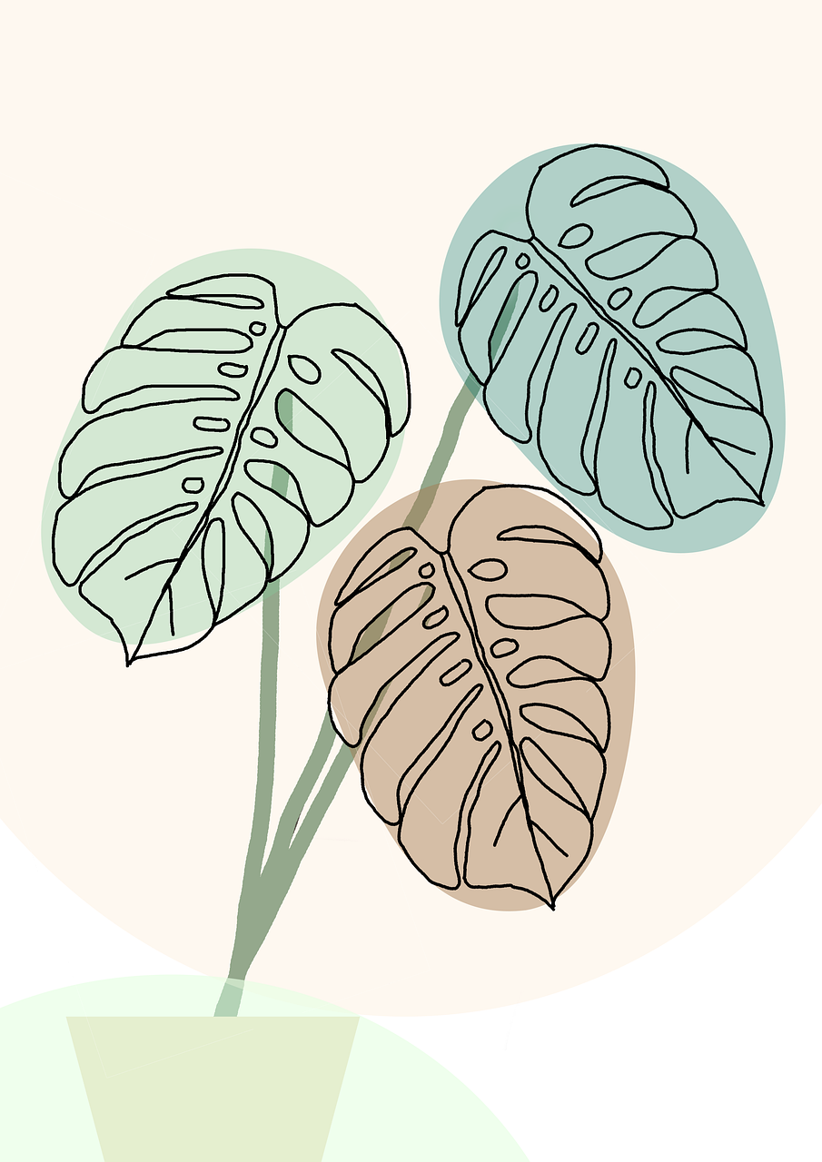 Download Monstera, Ornamental Plant, Bohemian Art. Royalty-Free Stock ...
