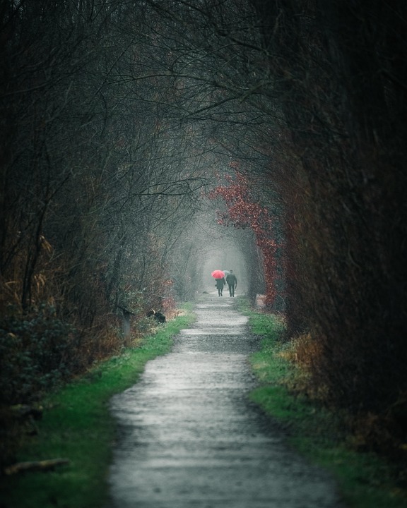 Path Tunnel Hike - Free photo on Pixabay