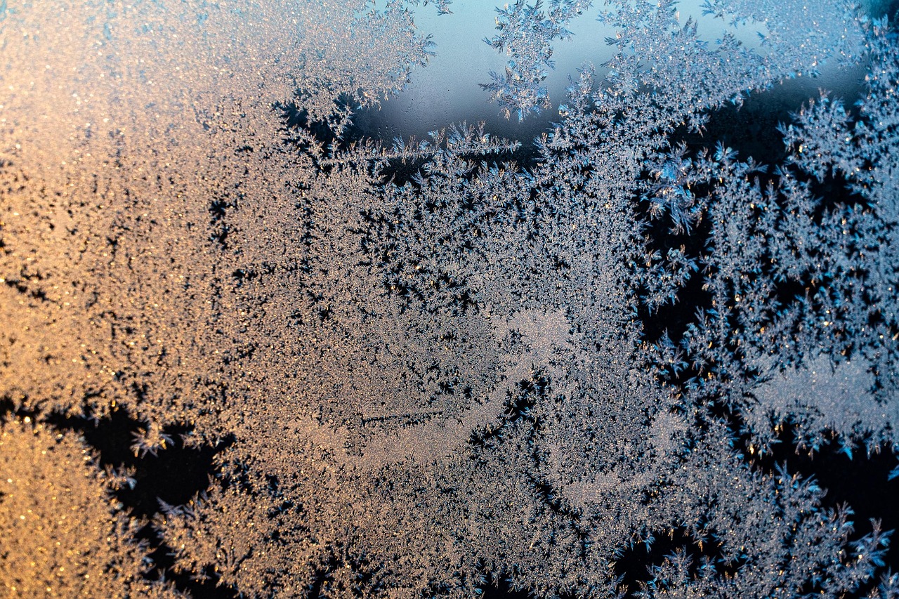 Winter Frost Snow - Free photo on Pixabay - Pixabay Winter Frost Snow - Free photo on Pixabay - Pixabay