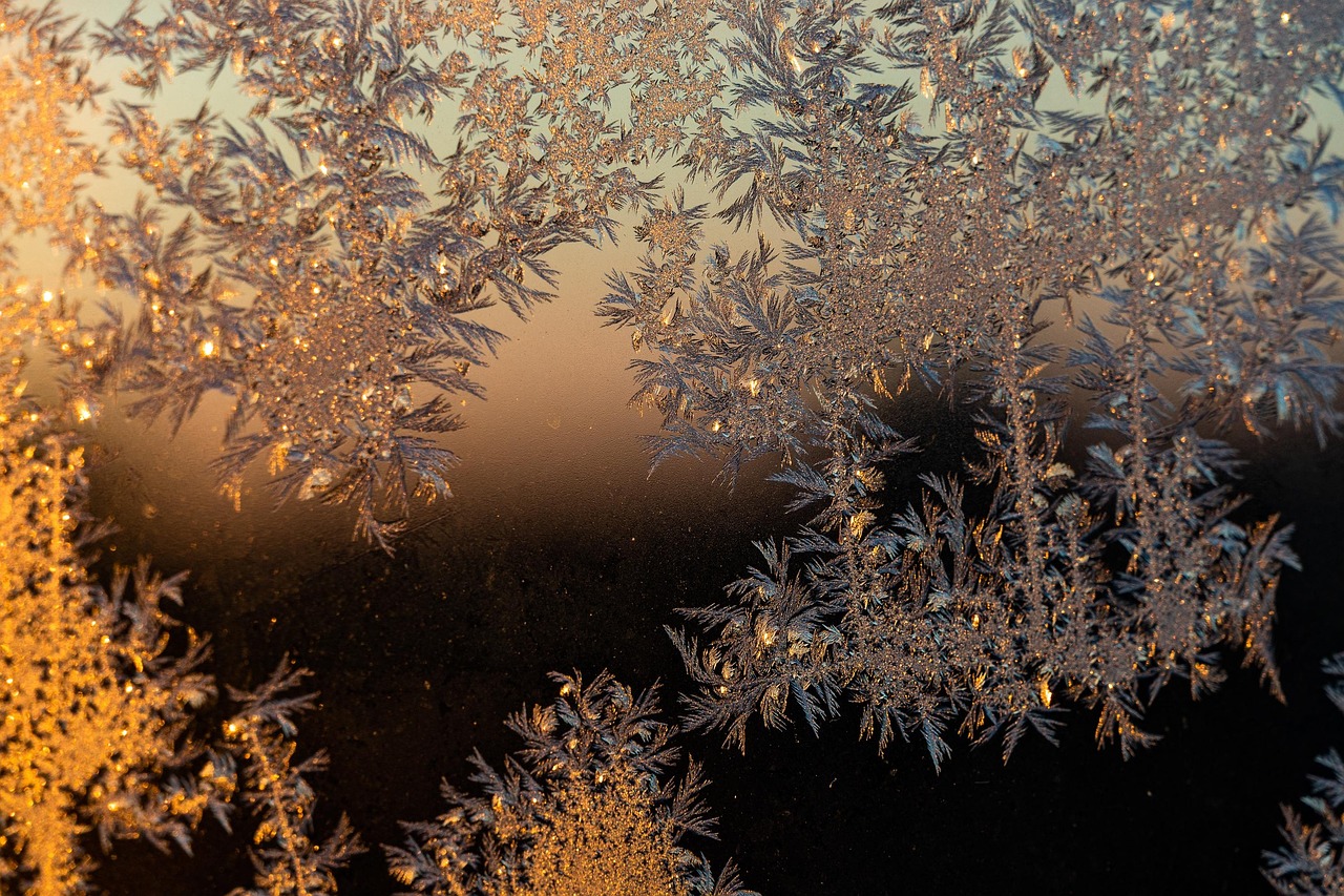 Winter Frost Snow - Free photo on Pixabay - Pixabay Winter Frost Snow - Free photo on Pixabay - Pixabay