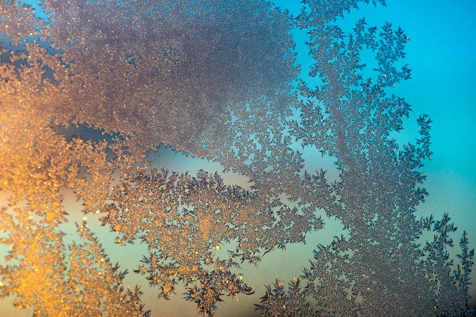 Winter Frost Snow - Free photo on Pixabay Winter Frost Snow - Free photo on Pixabay