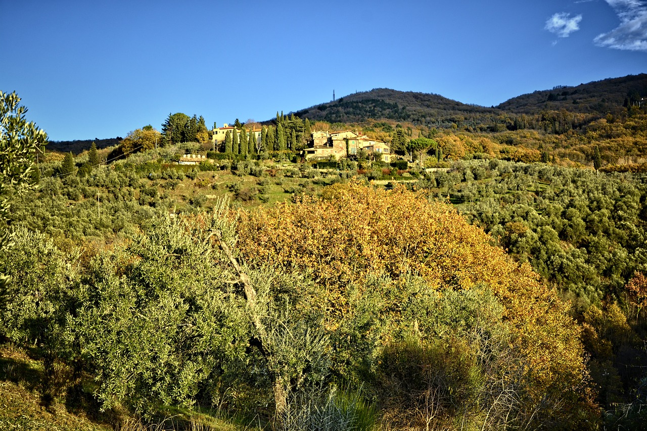 Villa Trees Hill - Free photo on Pixabay - Pixabay