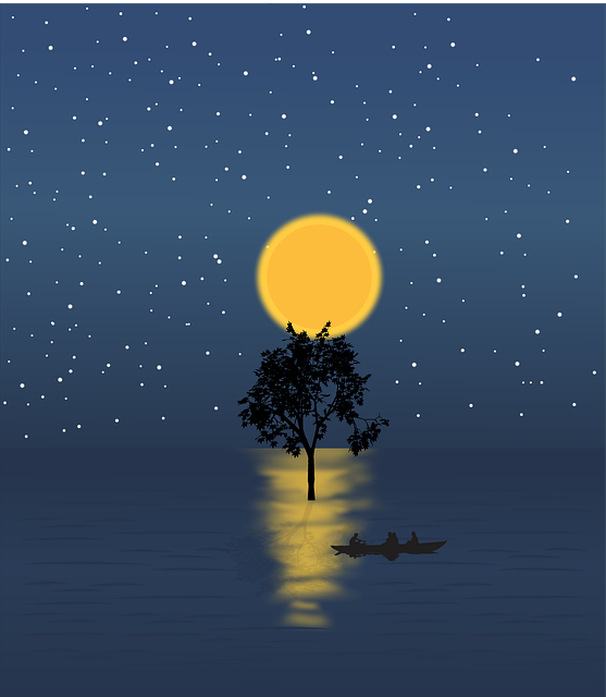 Night Ocean Moon Digital - Free image on Pixabay