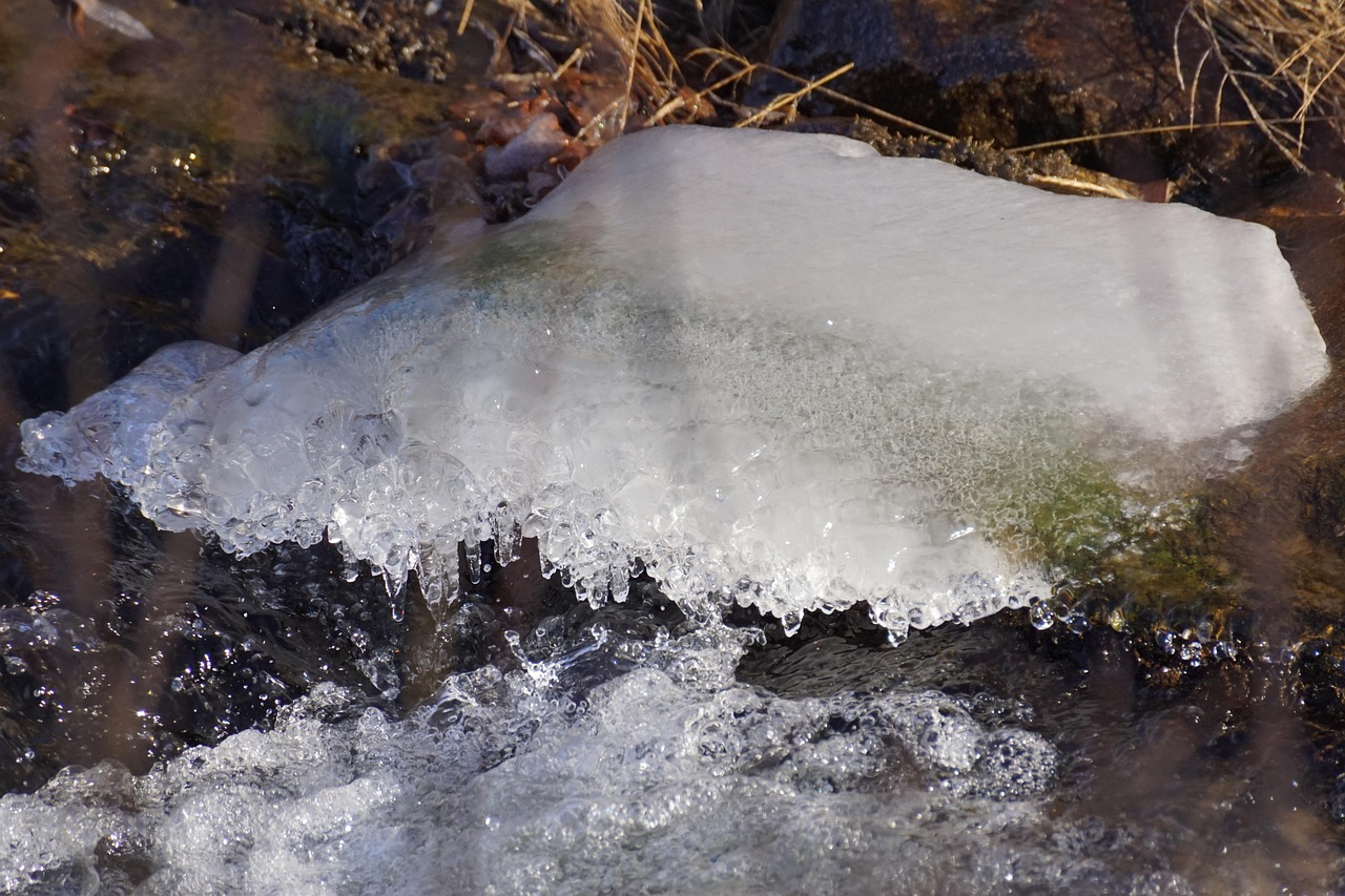 Snow Ice Winter - Free photo on Pixabay - Pixabay