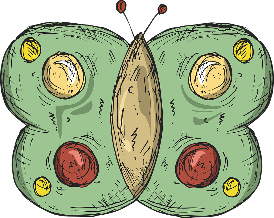 Download Butterfly Insect Drawing Royalty Free Vector Graphic Pixabay
