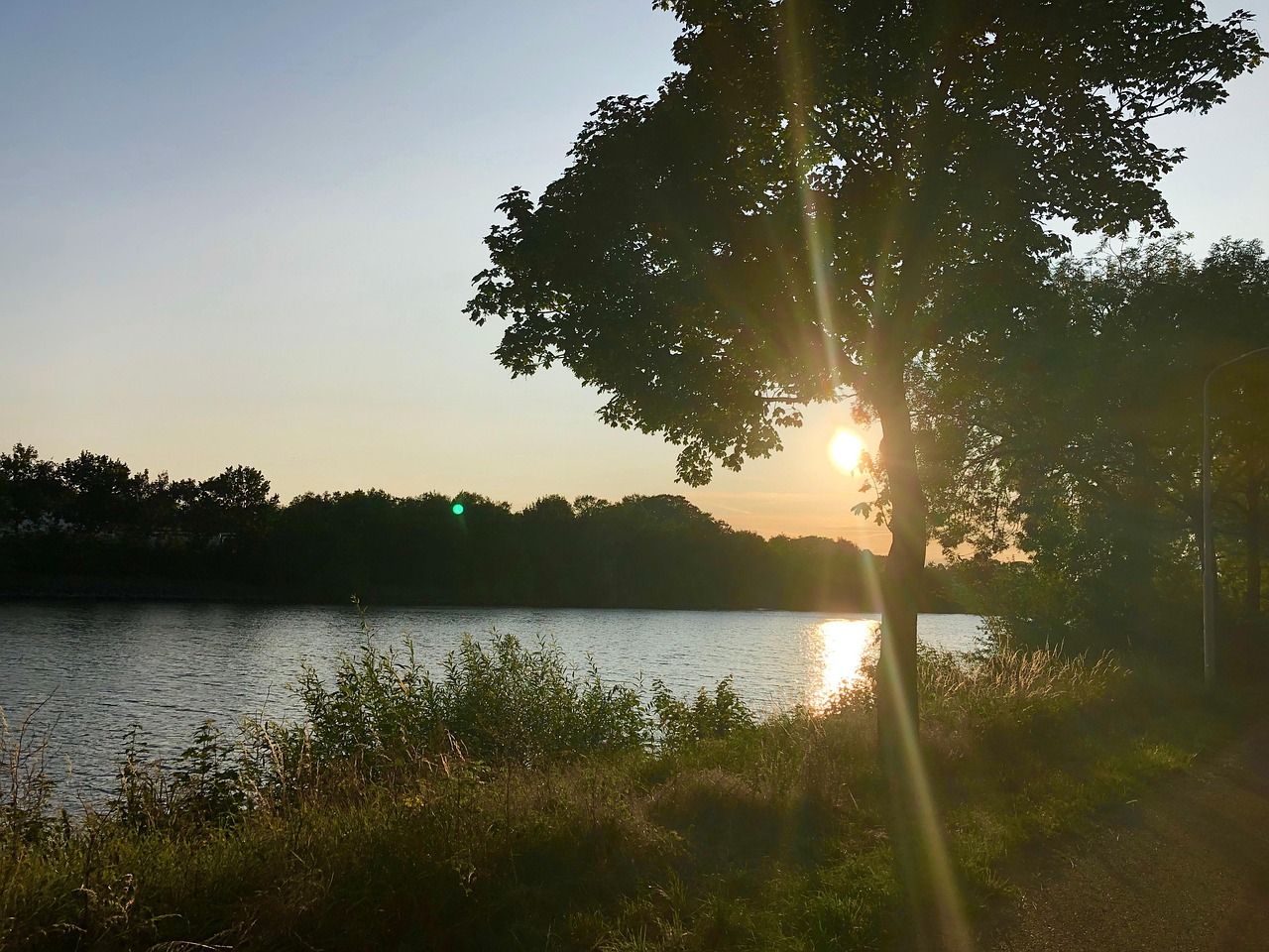 Nature Sun - Free photo on Pixabay - Pixabay