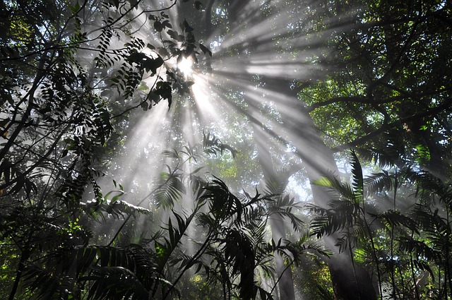 Sol Brillar Luz - Foto gratis en Pixabay - Pixabay