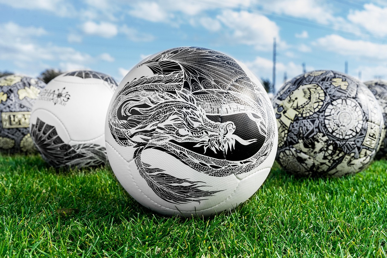 Drachen Fußball Logo