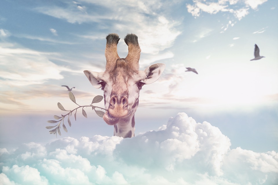 Download Giraffe, Wildlife, Clouds. Royalty-Free Stock Illustration ...