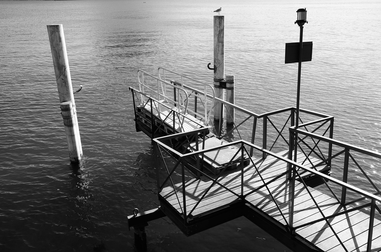 Dock Lake Monochrome Free Photo On Pixabay Pixabay