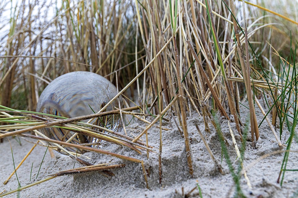 Glass Sphere Beach Sand Dunes - Free photo on Pixabay - Pixabay