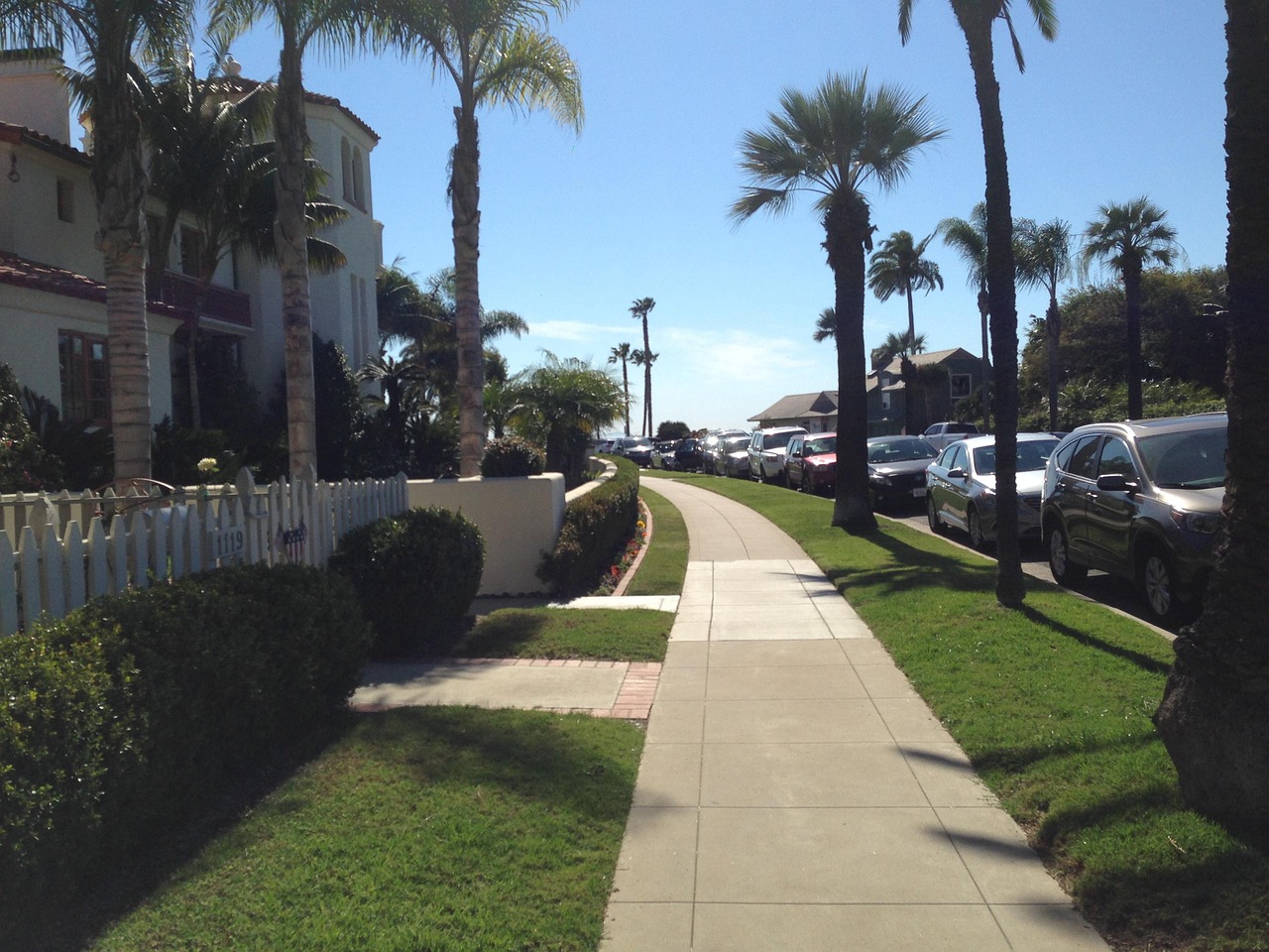 Street Pavement Palm Trees - Free photo on Pixabay - Pixabay