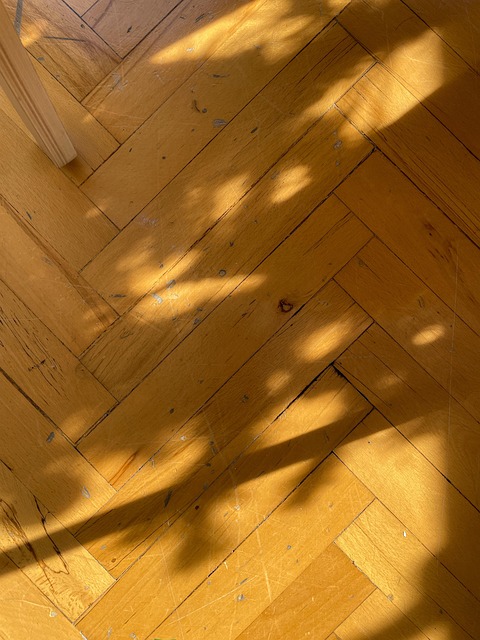 Schatten Schattenspiel Licht - Kostenloses Foto auf Pixabay - Pixabay