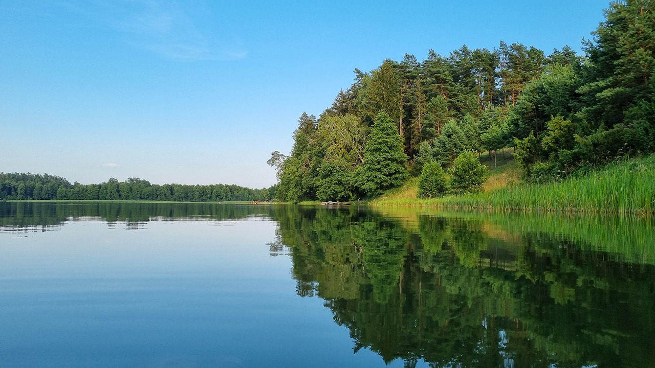 Lac Forêt Nature - Photo gratuite sur Pixabay - Pixabay