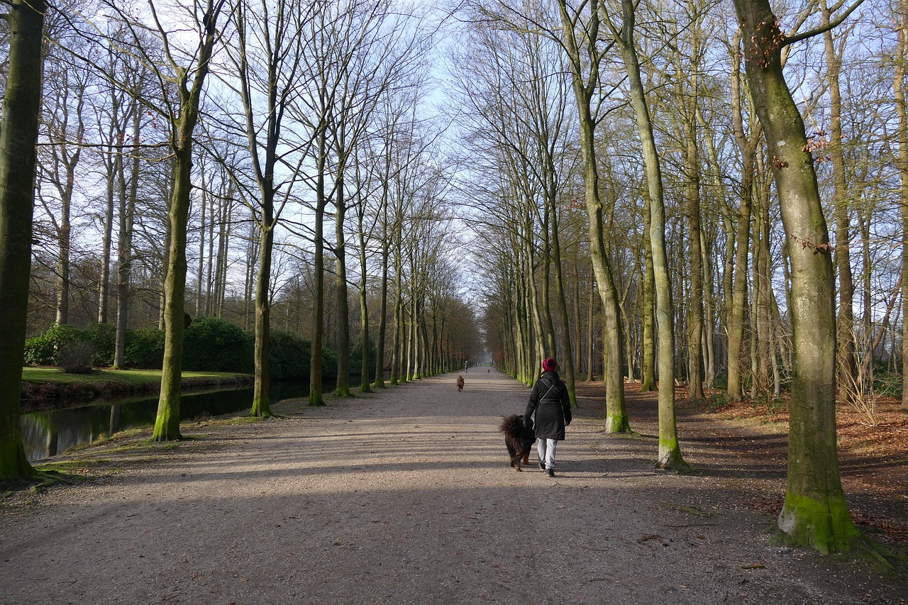 Avenue Away Park - Free photo on Pixabay - Pixabay