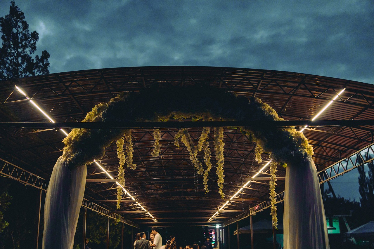 Más de 20 000 imágenes gratis de Wedding Party Night y Wedding - Pixabay