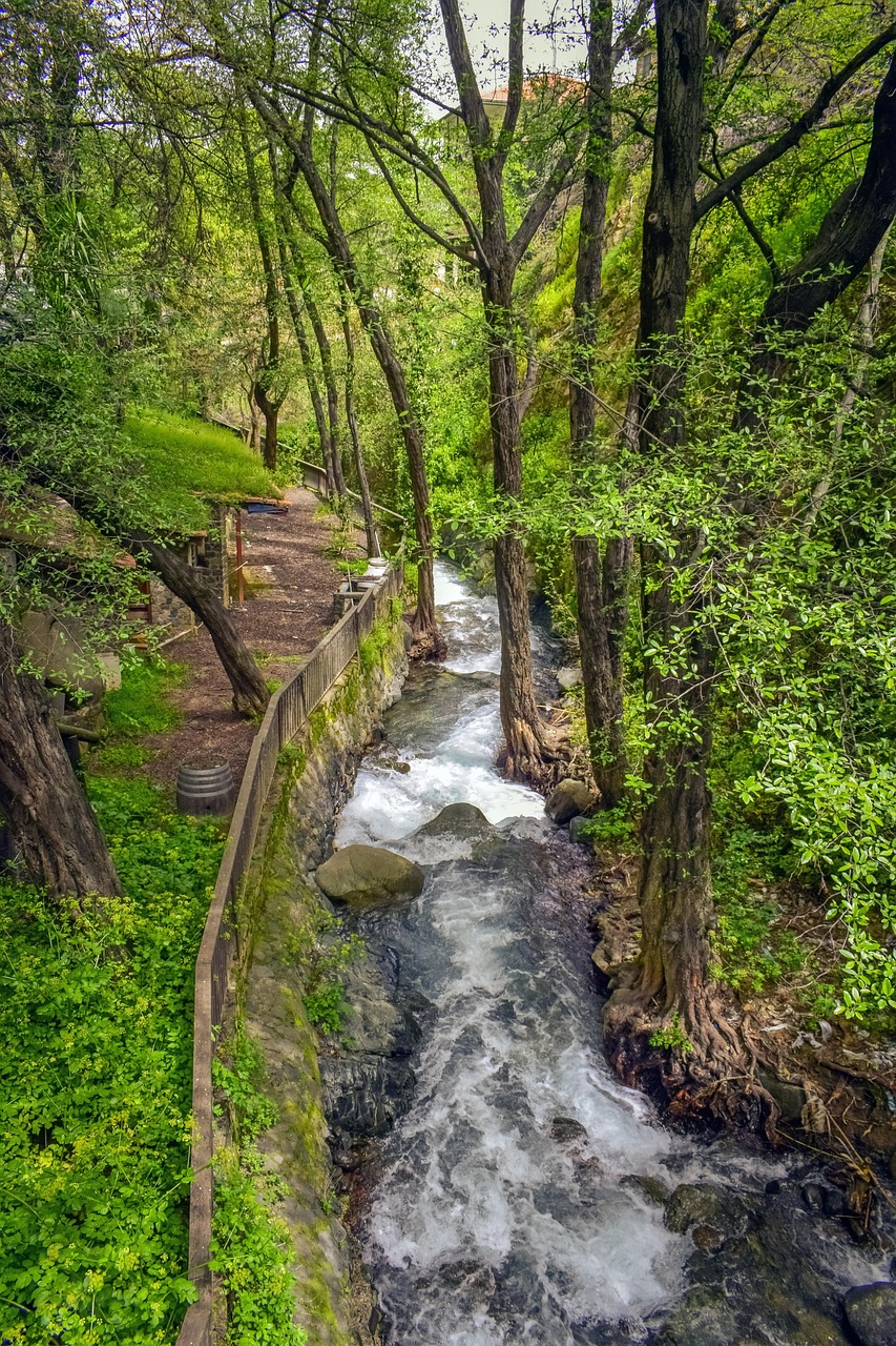 River Stream Trees - Free photo on Pixabay - Pixabay