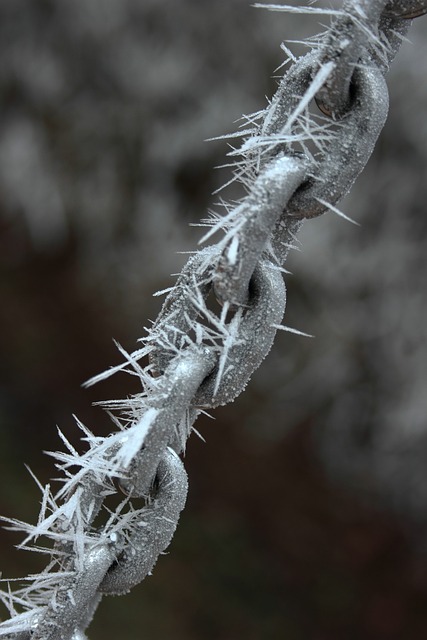 Chain Links Hoarfrost Winter - Free photo on Pixabay