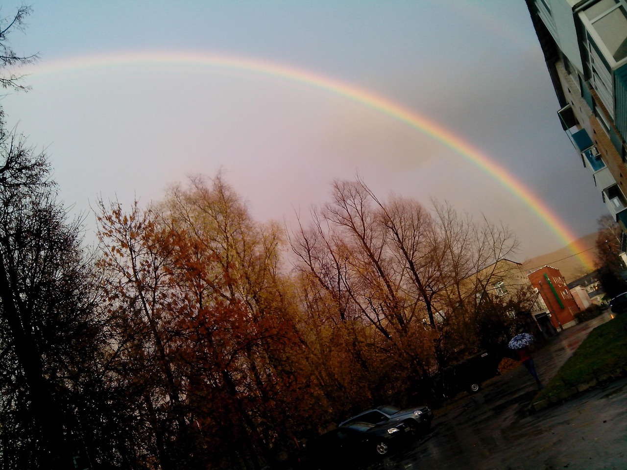 Rainbow In The City Cute - Free photo on Pixabay - Pixabay
