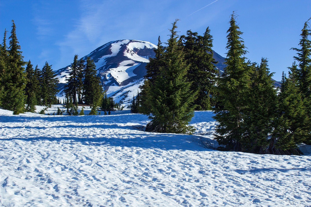 Snow Mountain Trees - Free photo on Pixabay