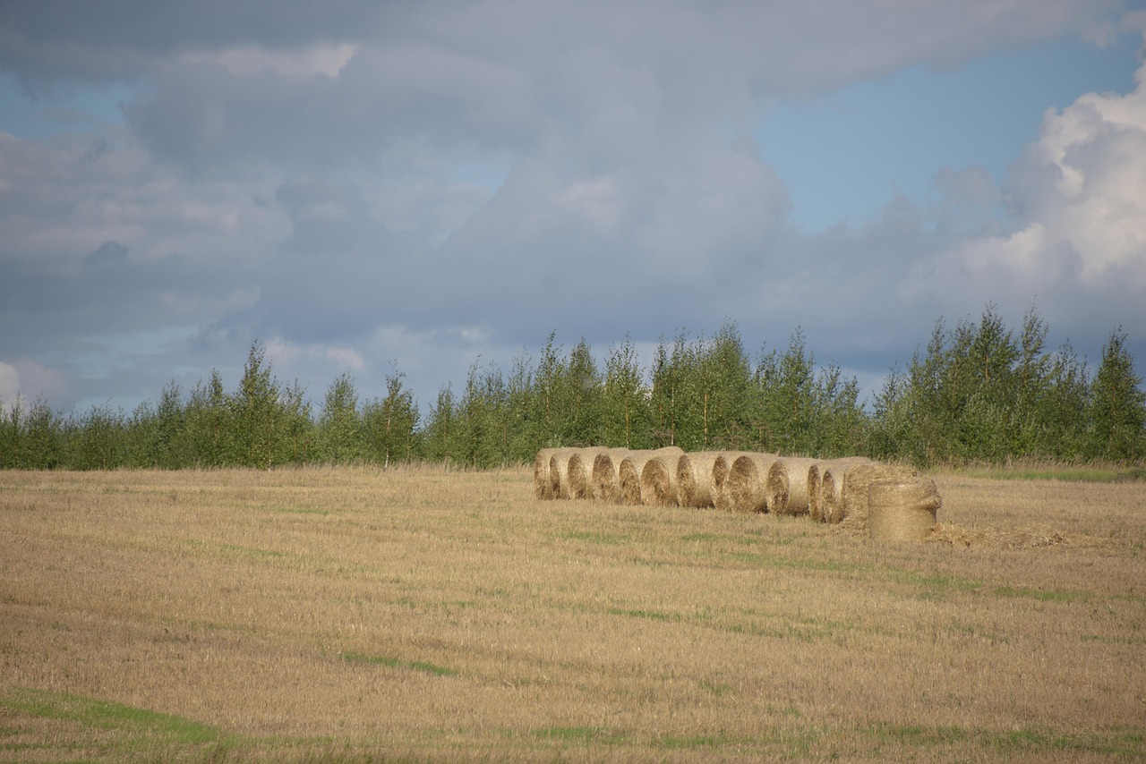 Rick Hay Field - Free photo on Pixabay